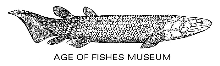 Bringing the Devonian era to life – Inspiring Australia