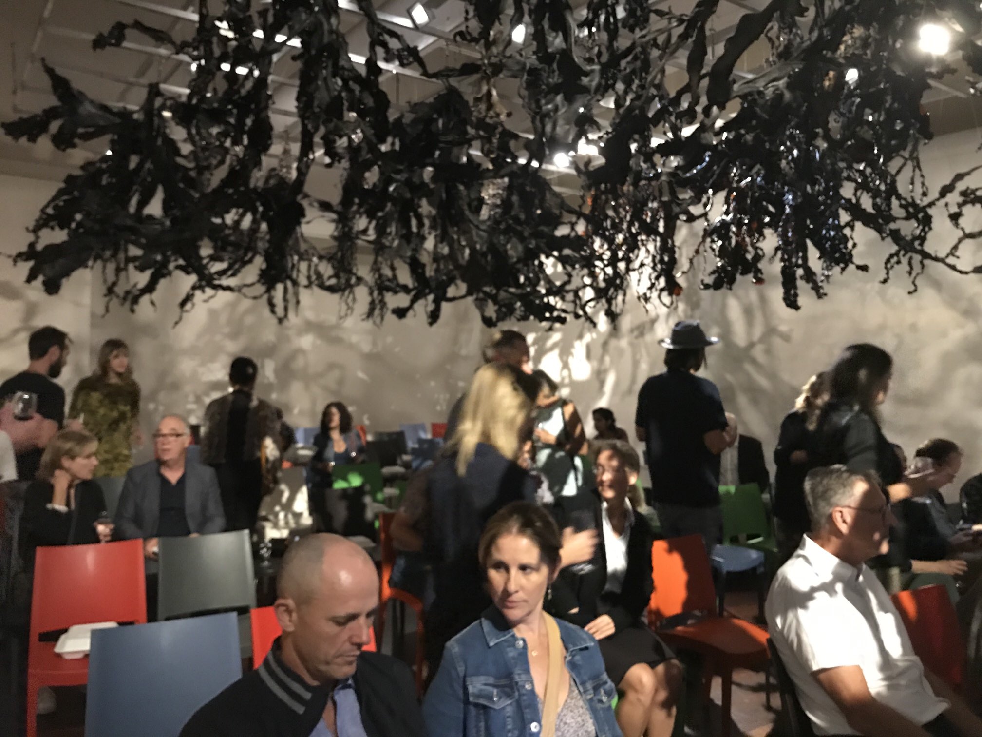 Celebrating Seaweed Forests – Inspiring Australia