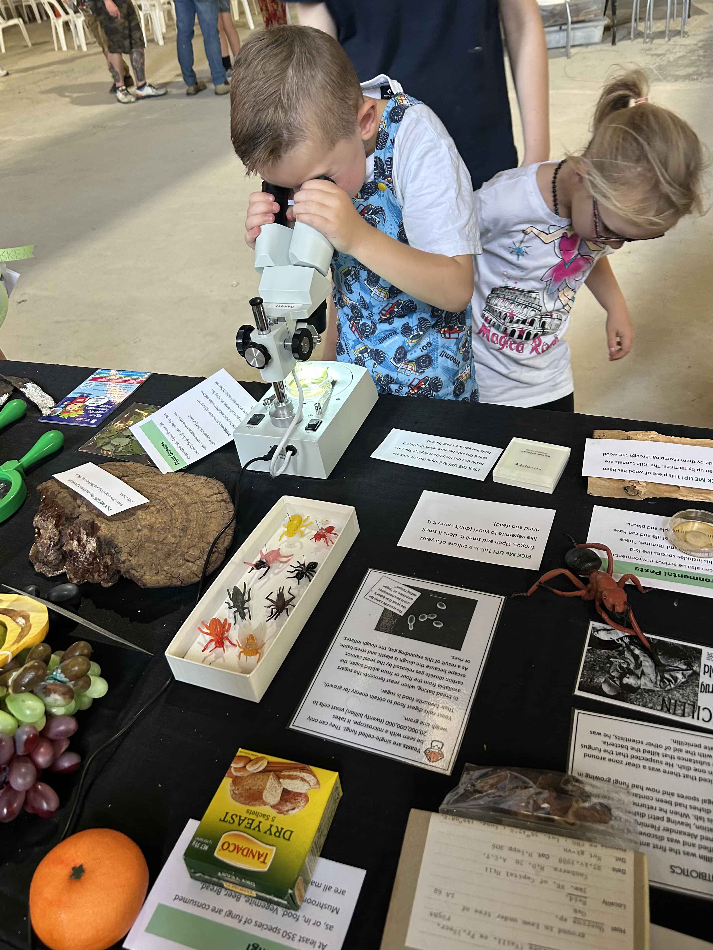 Portland Steam Fair DPI stall 1 – Inspiring Australia