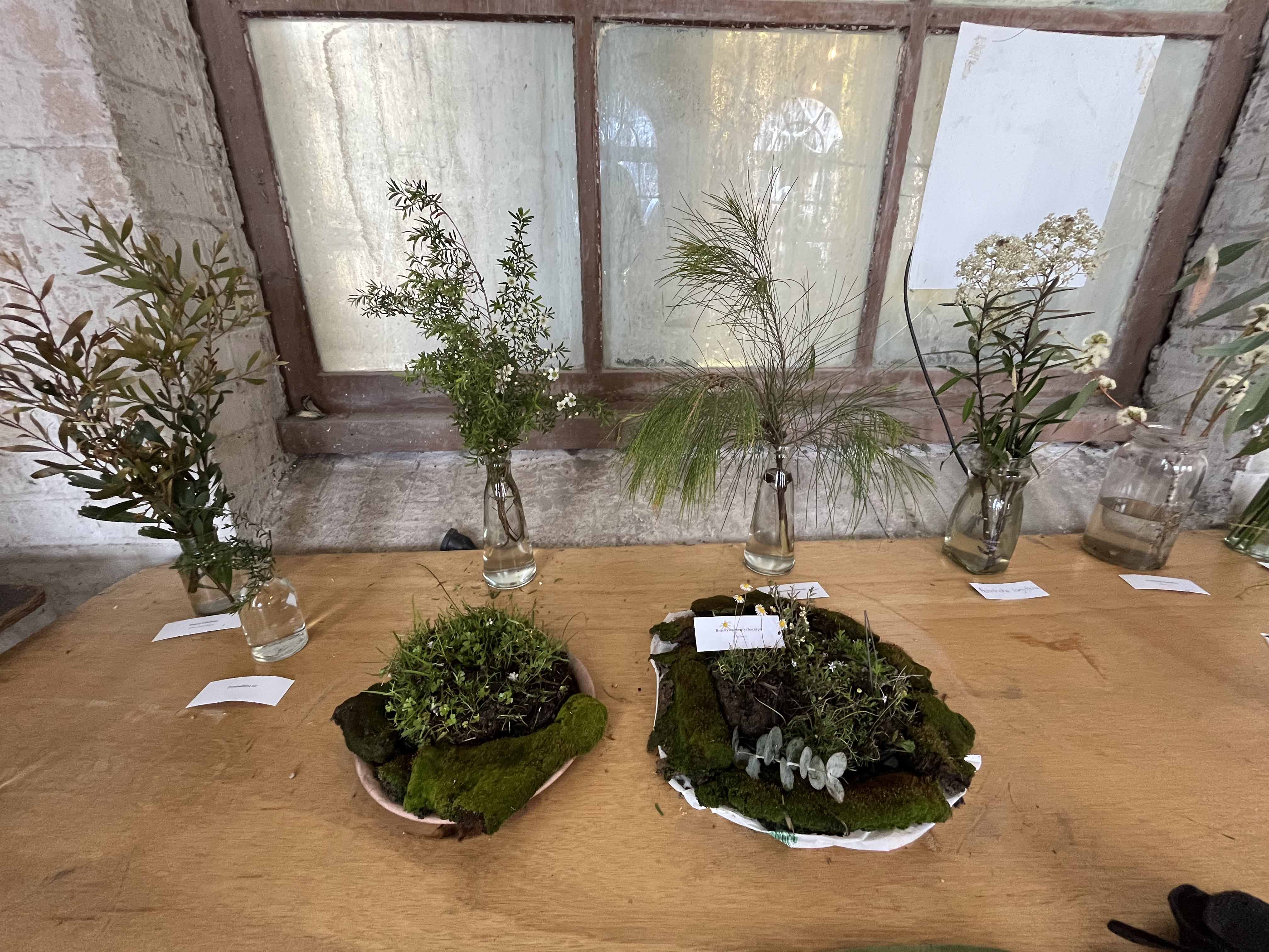 Portland Steam Fair Wildflower display cropped 2 – Inspiring Australia